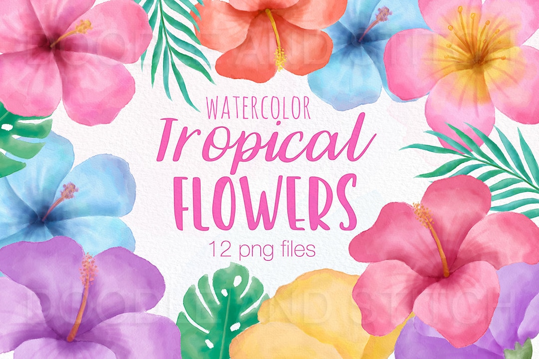 Tropical Flower Clipart Illustrations, Watercolor Tropical Flowers ...