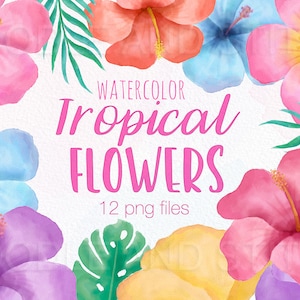 Tropical Flower Clipart Illustrations, Watercolor Tropical Flowers ...