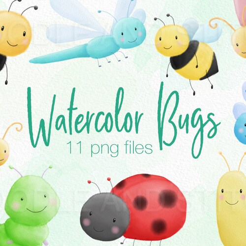 Cute Bugs Clipart Insect Clip Art Garden Bugs Clipart - Etsy
