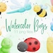 Watercolor Bug Clipart Illustrations Cute Insect Clip Art - Etsy
