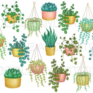 Watercolor Plants Clipart Designs, Indoor Plants Clip Art Illustrations ...