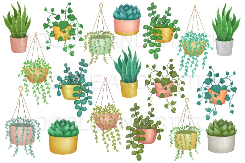 Watercolor Plants Clipart Designs Indoor Plants Clip Art | Etsy