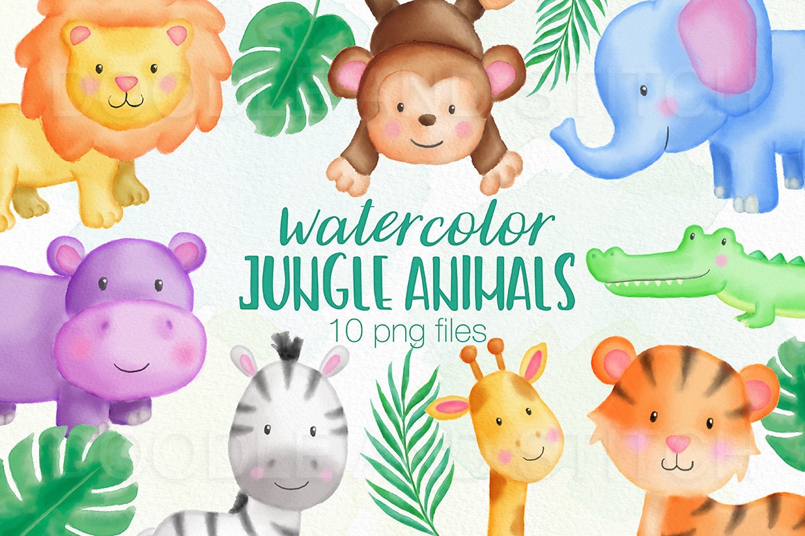 Watercolor Jungle Animal Clipart Illustrations Watercolor | Etsy