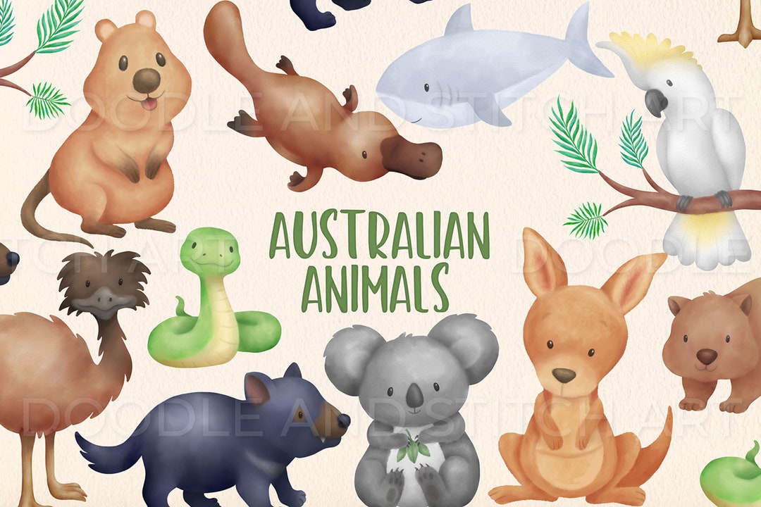 Australian Animals Clipart Set, Cute Australian Animal Illustrations ...