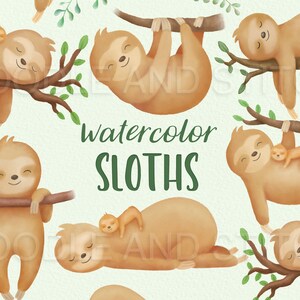 Cute Sloth Watercolor Clipart, Watercolour Sloths Clip Art ...