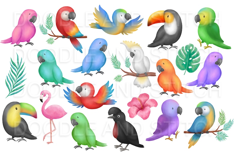 Tropical Birds Watercolor Clipart, Birds of Paradise Clip Art ...
