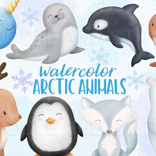 Watercolor Arctic Animals Clipart Cute Polar Bear Seal - Etsy