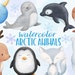 Arctic Animals Watercolor Clipart, Winter Animals Watercolour ...