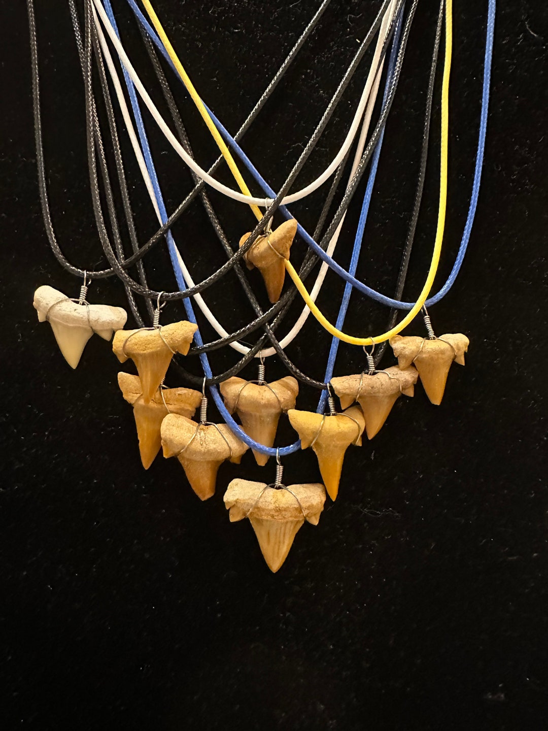 Shark Tooth Necklace, Surfers, Beach Life, Tropical Vibes, Sharks ...