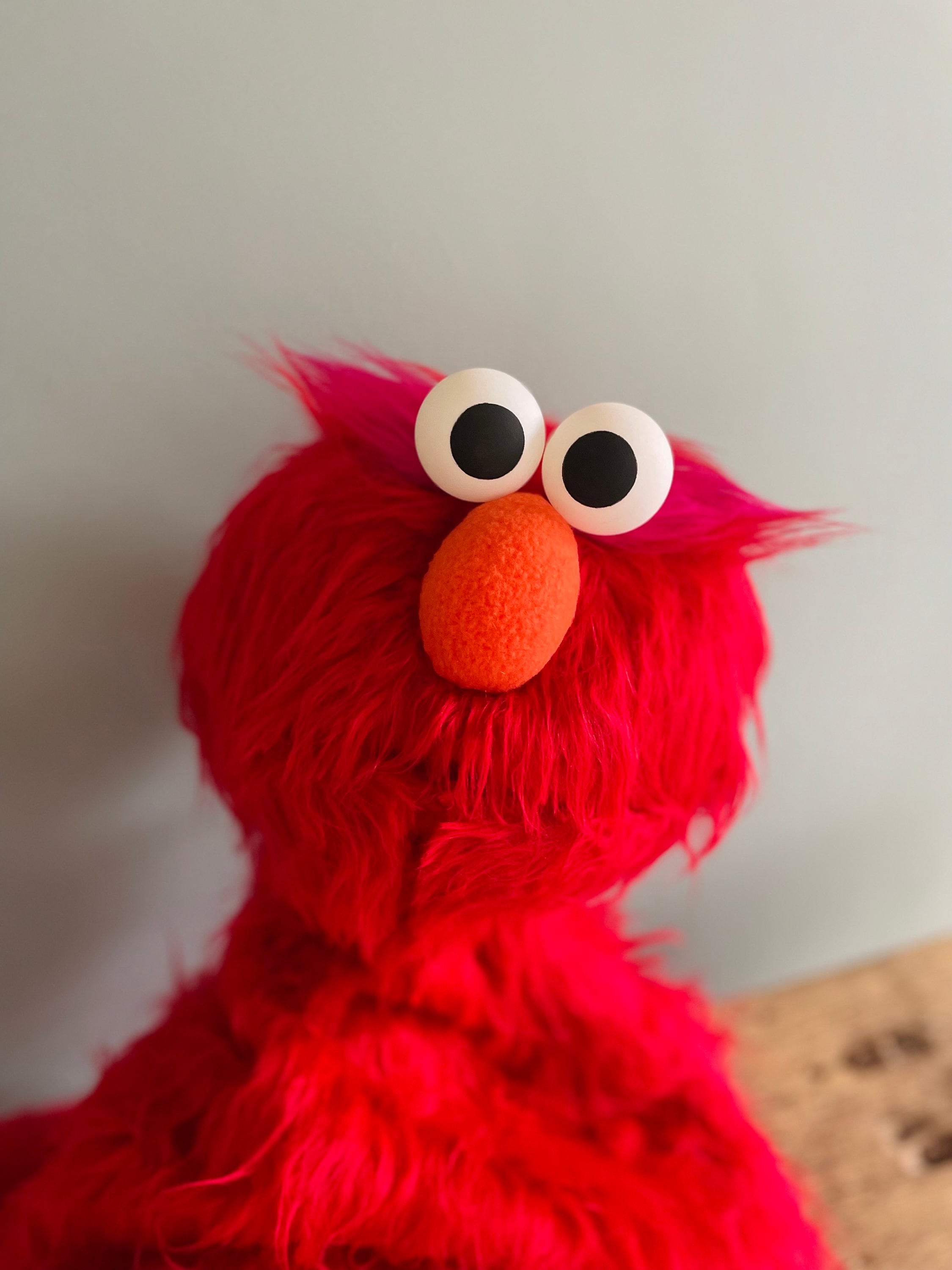 Fizbo, Professional Puppet, Foam Puppet, Sesamstraat-stijl Marionet ...