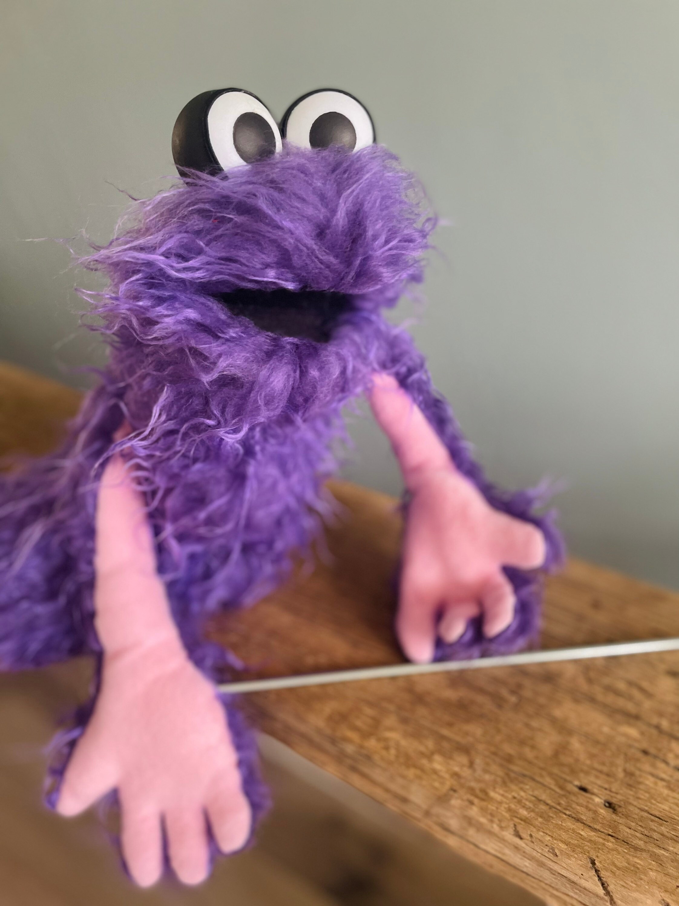 Mowie, Junior Puppet, Monster Puppet, Muppet Monster, Sesamstraat ...