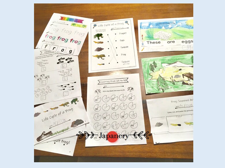 Tadpole to Frog: Unit Study Bundle | Learning Activity Digital ...