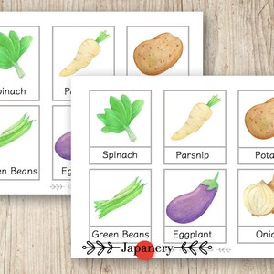 Vegetable 3 Part Cards Montessori english Vegetables Flash Cards ...