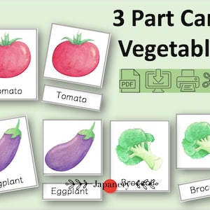 Vegetable 3 Part Cards Montessori english Vegetables Flash Cards ...