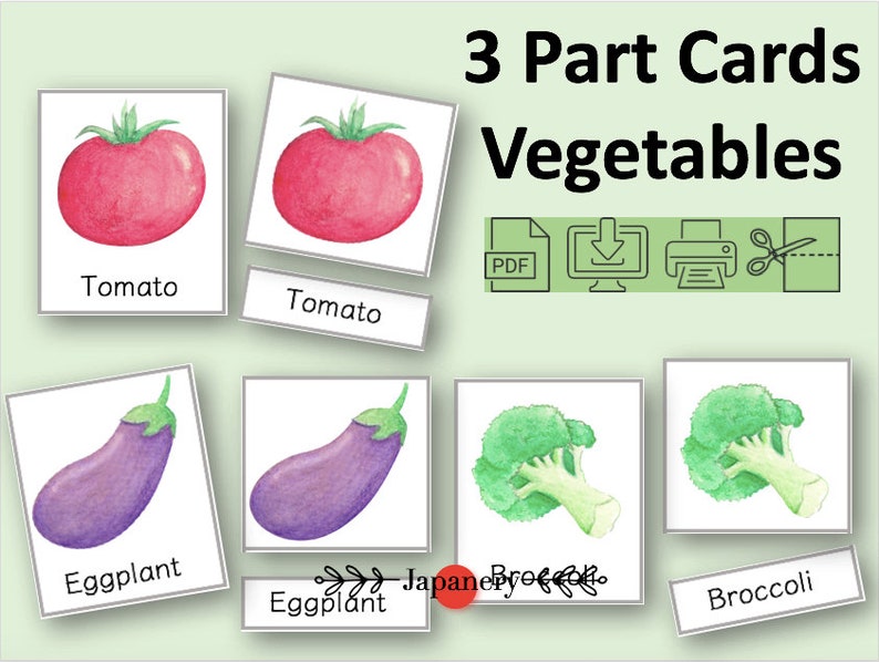 Vegetable 3 Part Cards Montessori english Vegetables - Etsy