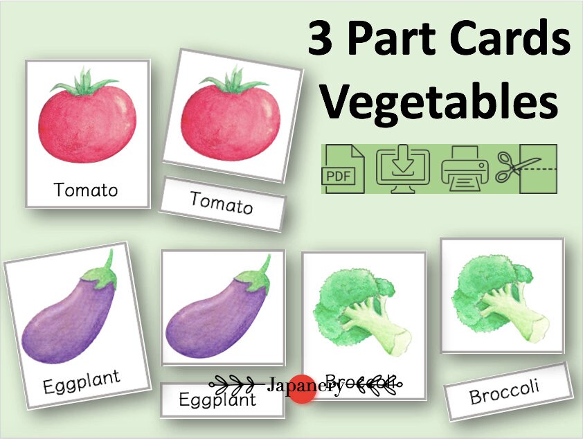 Vegetable 3 Part Cards Montessori english Vegetables - Etsy