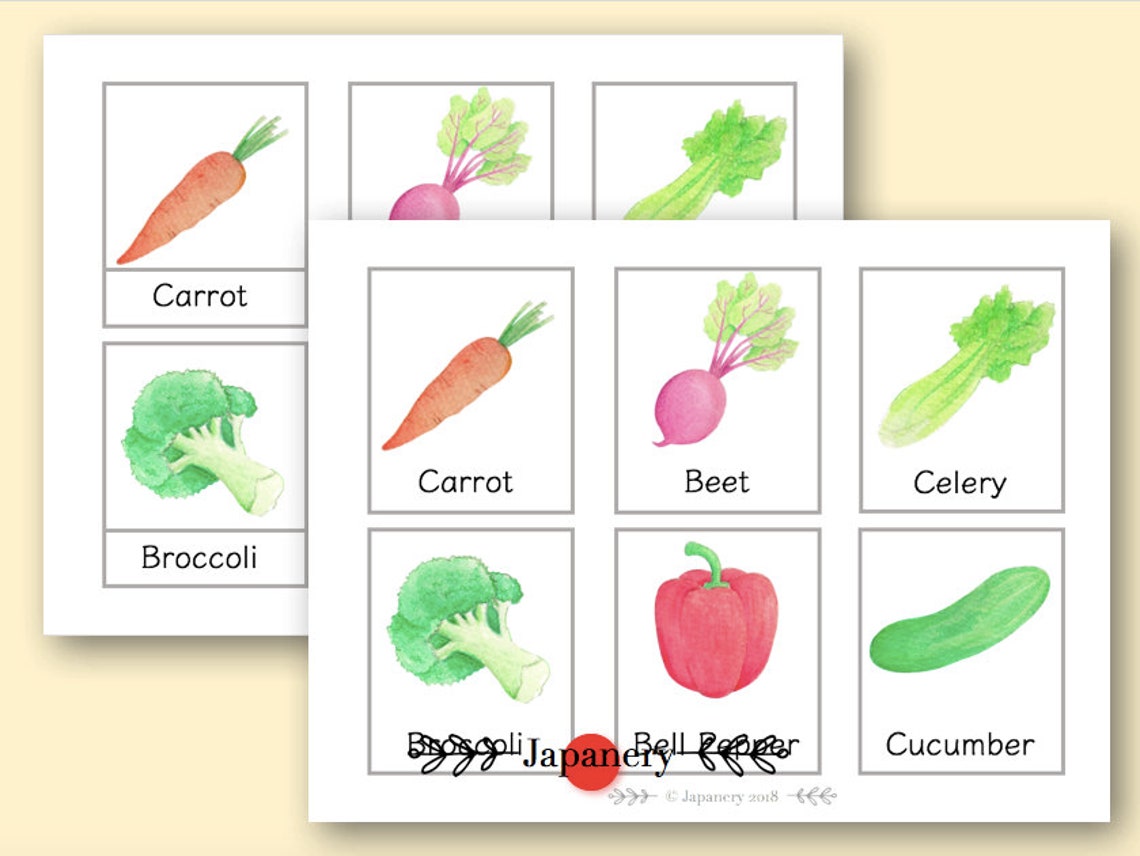 Vegetable 3 Part Cards Montessori english Vegetables - Etsy