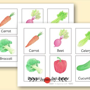 Vegetable 3 Part Cards Montessori english Vegetables Flash Cards ...