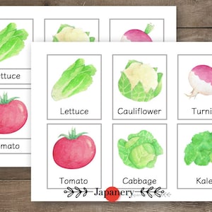 Vegetable 3 Part Cards Montessori english Vegetables Flash Cards ...