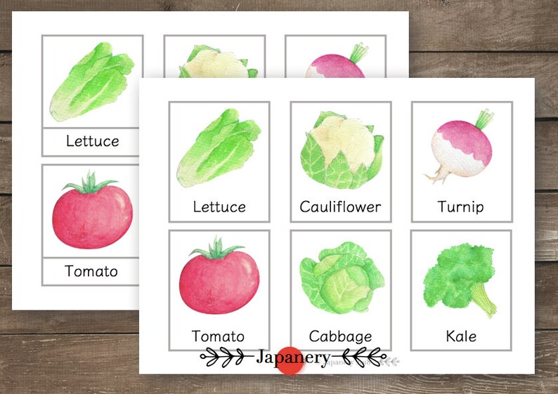 Vegetable 3 Part Cards Montessori english Vegetables | Etsy