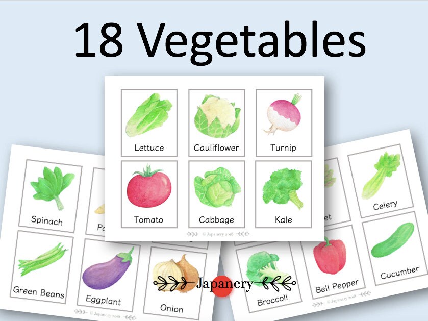 Vegetable 3 Part Cards Montessori english Vegetables - Etsy