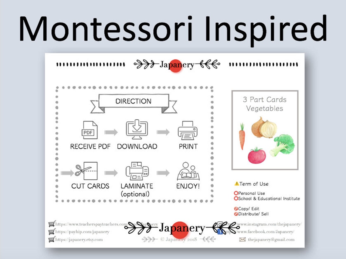 Vegetable 3 Part Cards Montessori english Vegetables - Etsy