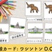 Washington DC 3 Part Cards japanese Montessori ワシントンDC絵カード - Etsy