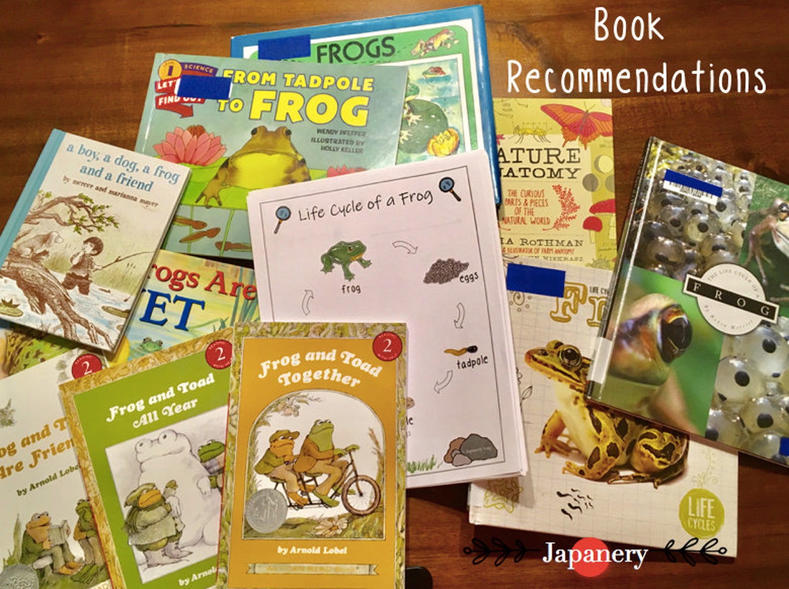 Tadpole to Frog: Unit Study Bundle | Learning Activity Digital ...