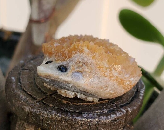 PIM 12 Gram Orange MICRO MINI Banded Calcite Cluster Mineral Specimen ...