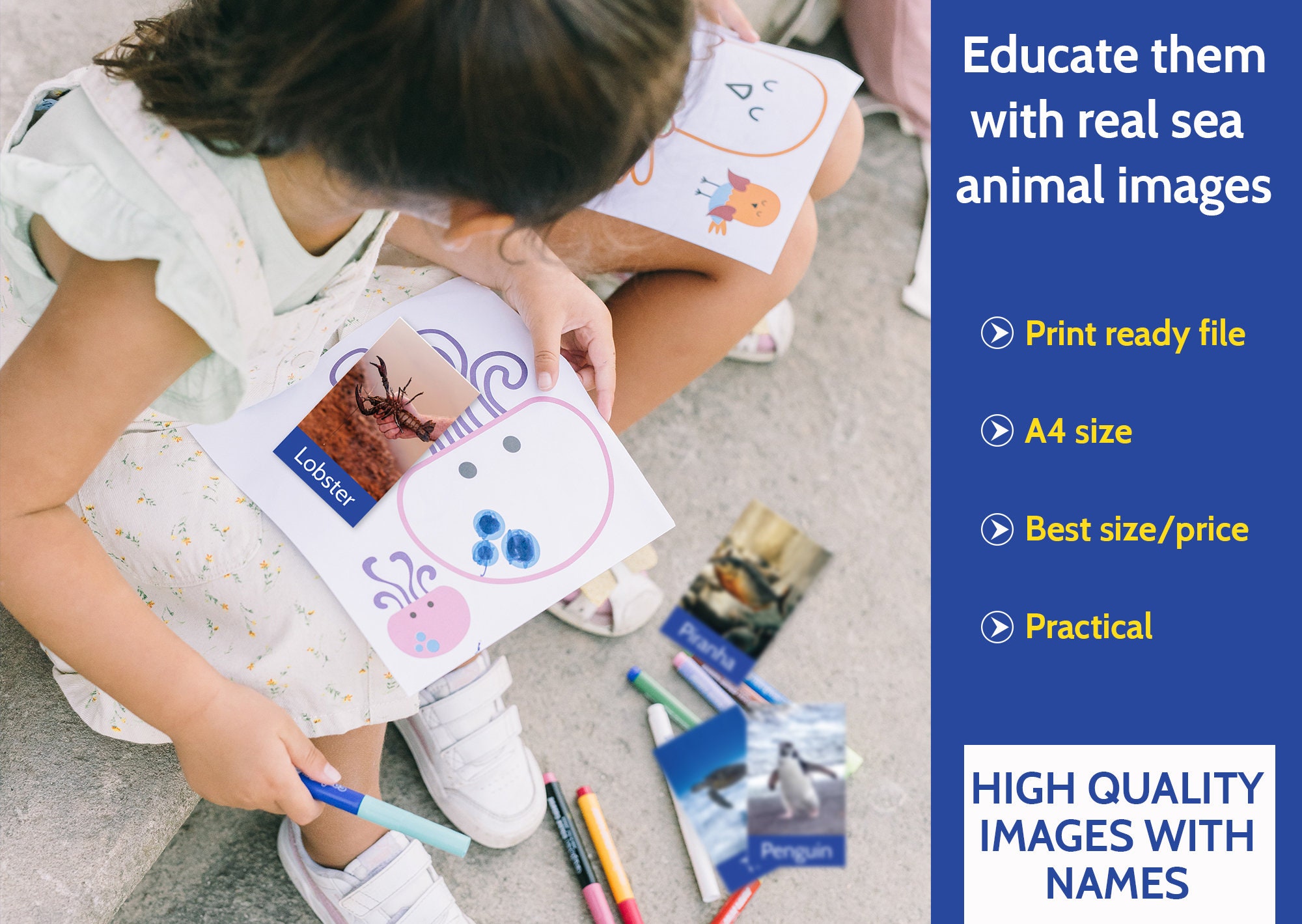 Sea Animals Flashcard Real Pictures, Sea Animals Flashcard Printable ...