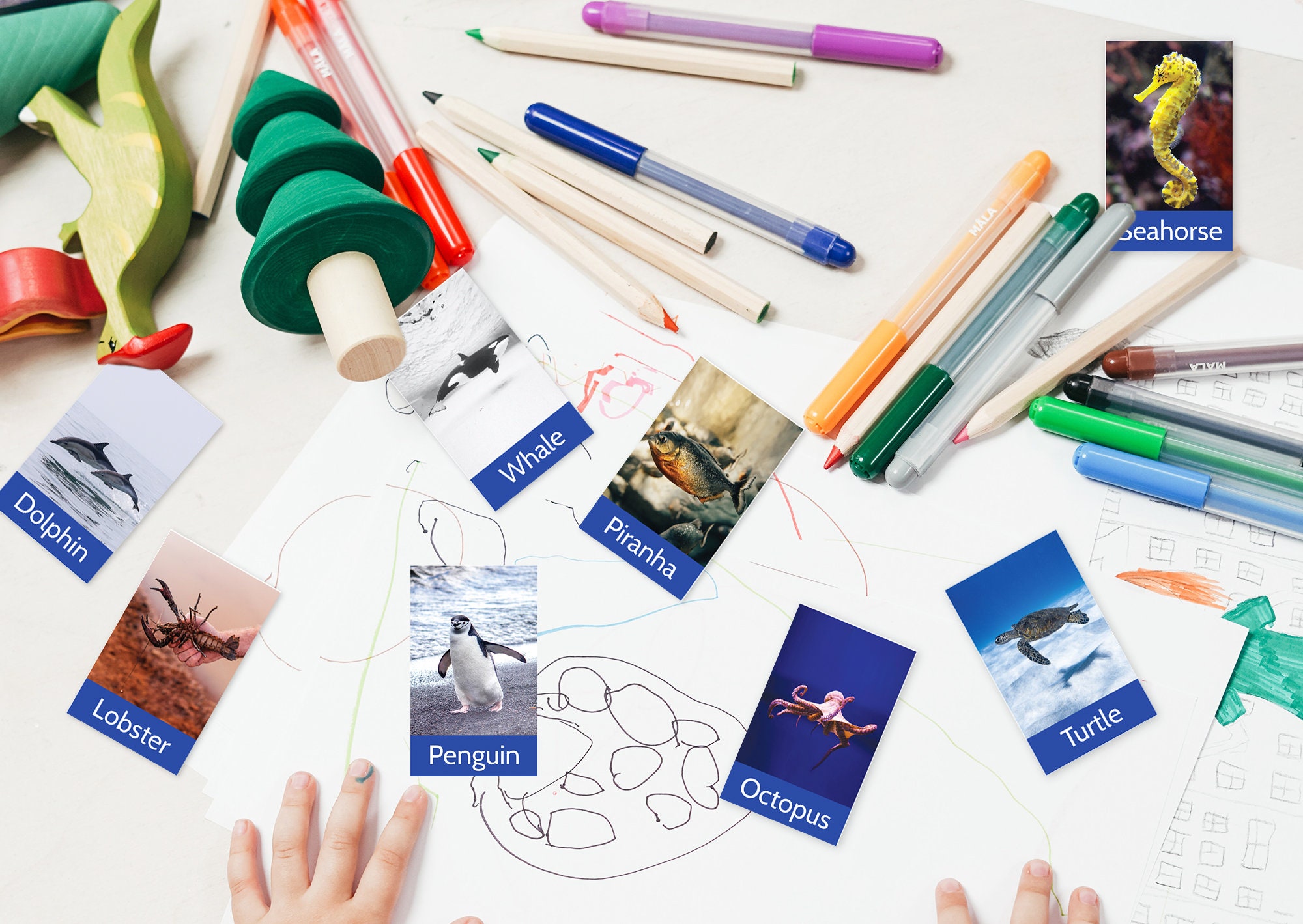 Sea Animals Flashcard Real Pictures, Sea Animals Flashcard Printable ...