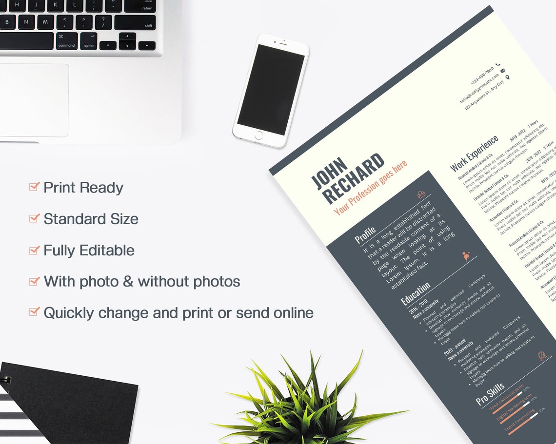Editable Canva Resume CV Template, Canva CV, Canva Resume, Canva Fulli ...
