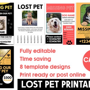 Missing Pet Flyer Template: Editable Lost Pet Poster (digital Download ...