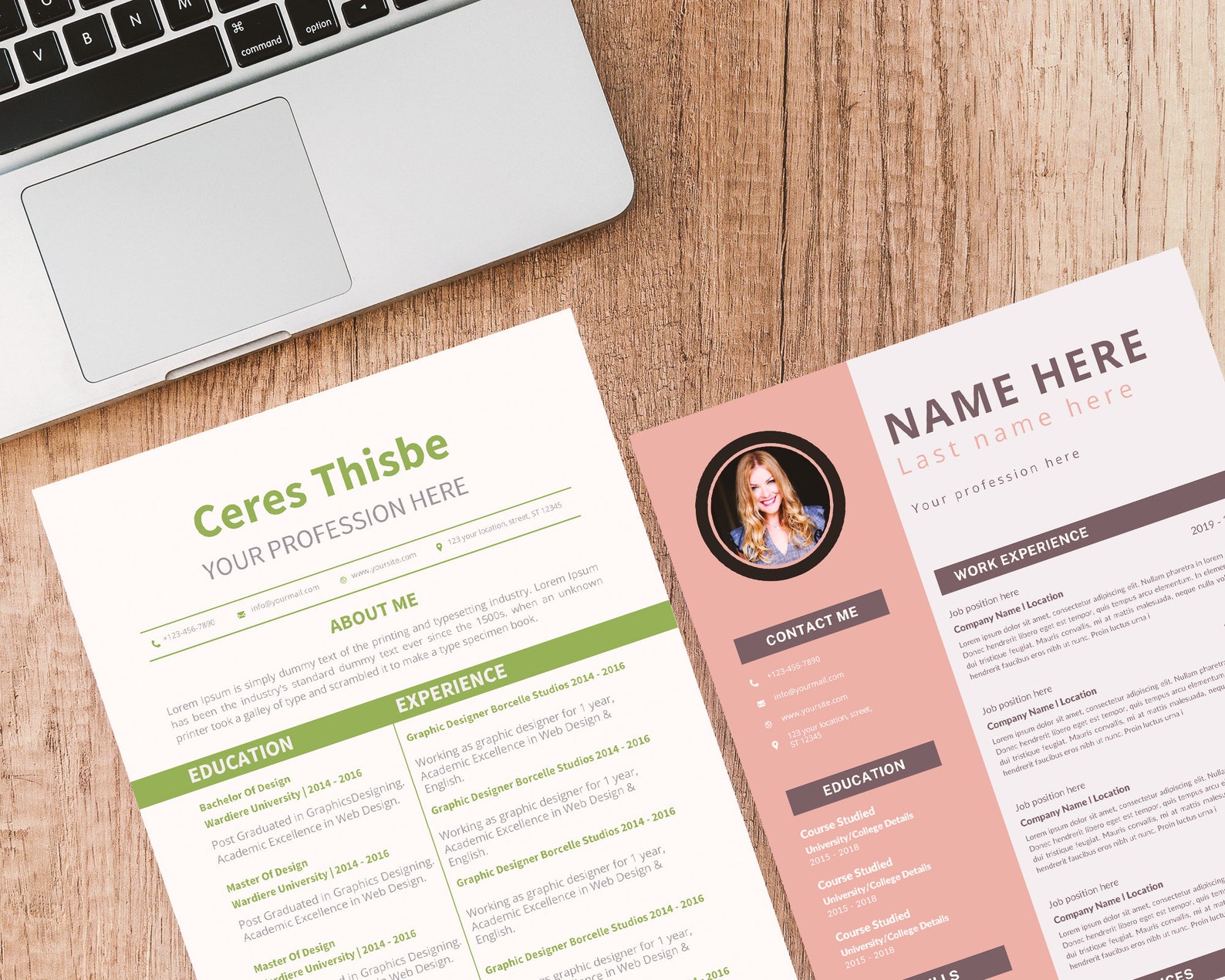Editable Canva Resume Template Bundle: Print Ready CV (digital Download ...