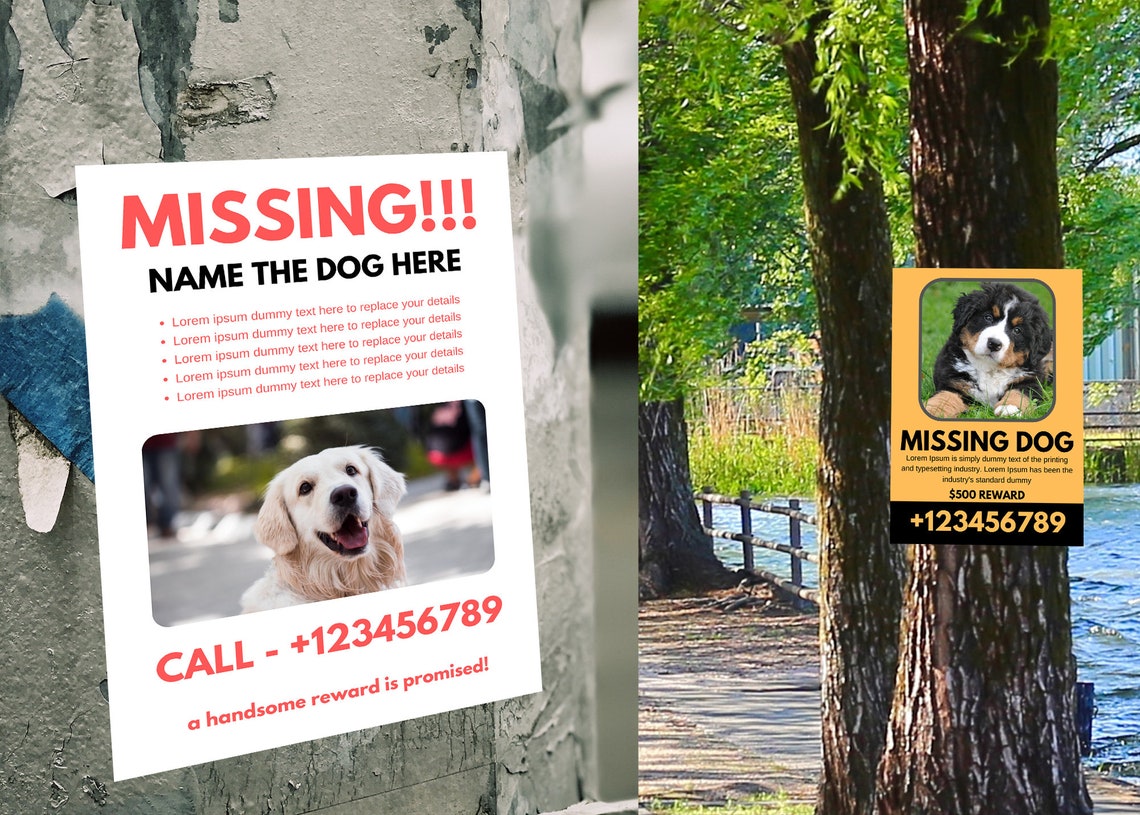 Missing Pet Flyer Template: Editable Lost Pet Poster (digital Download ...