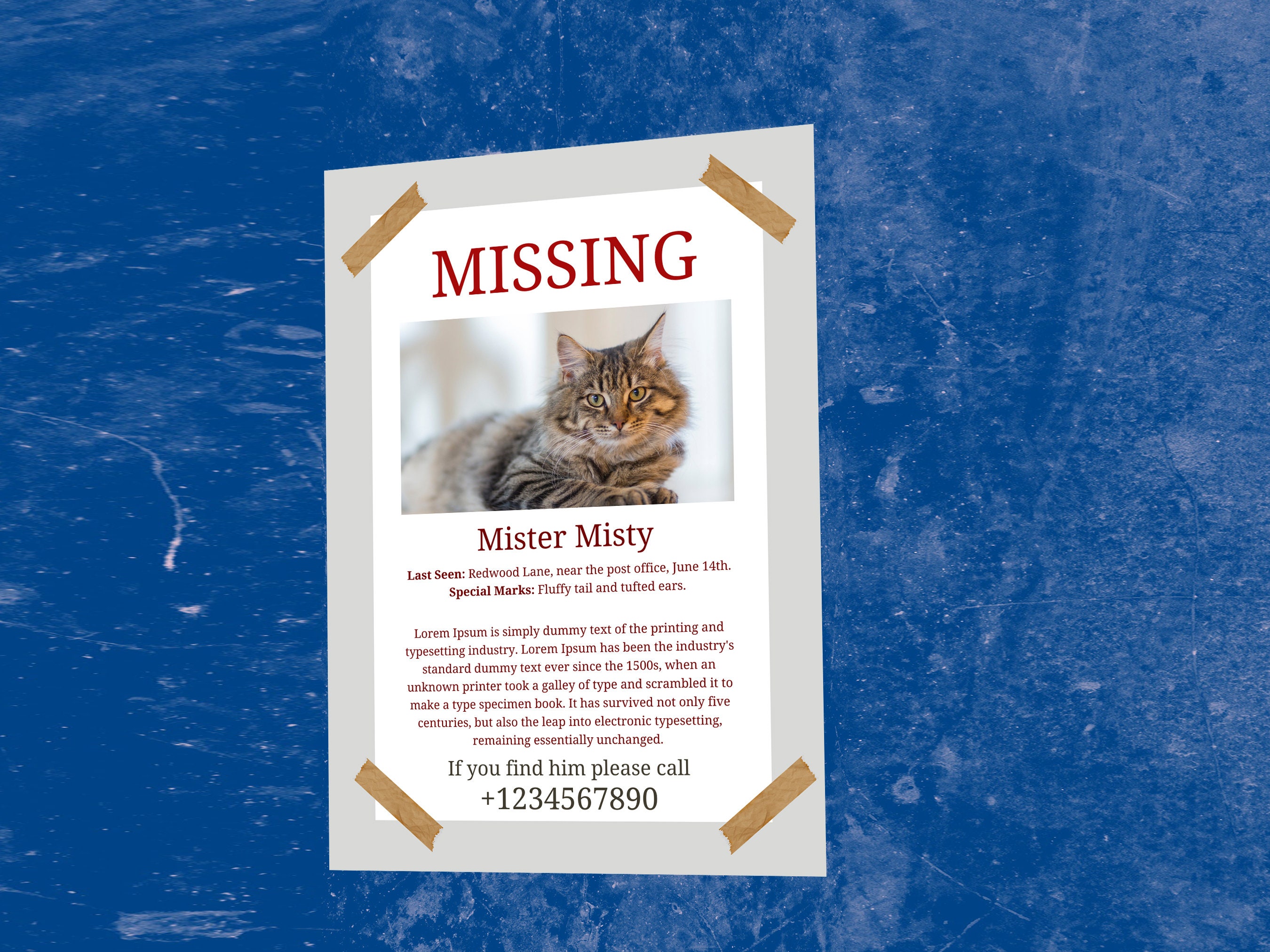 Missing Cat Editable Templates, Missing Cat Flyer, Missing Templates ...
