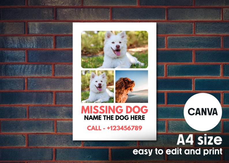 Missing Pet Flyer Template: Editable Lost Pet Poster (digital Download ...