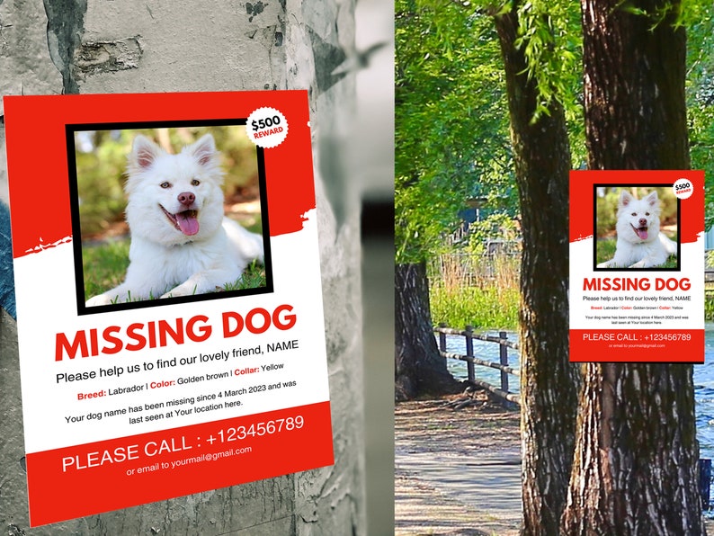 Missing Dog Editable Template, Missing Dog Templates,, Missing Pet ...