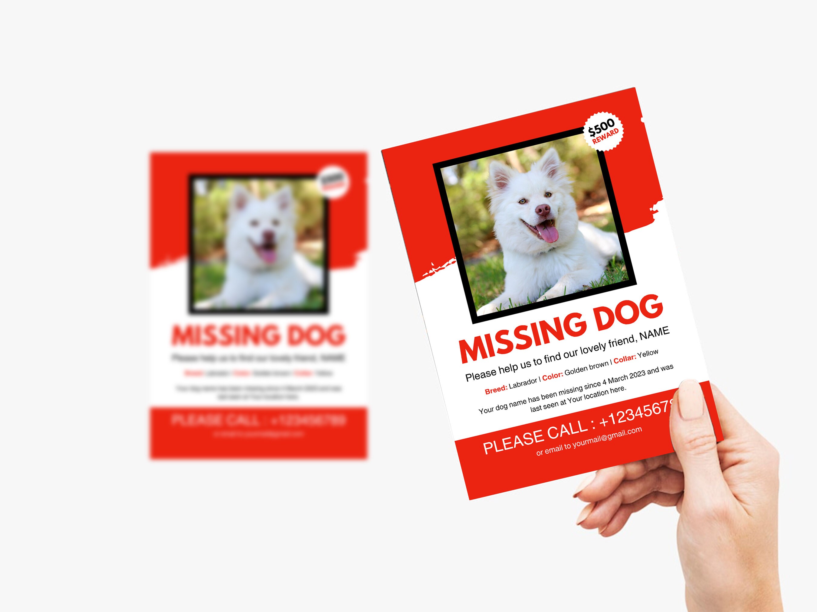 Missing Dog Editable Template, Missing Dog Templates,, Missing Pet ...