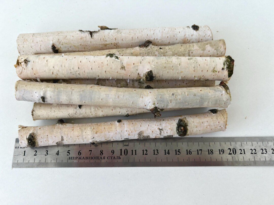 Set of Small 8+ Birch Sticks, White Birch Branches, Natural Wood Decor ...