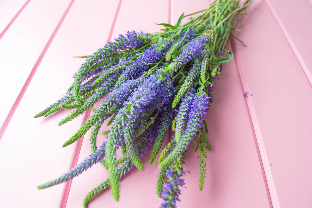 Field Flowers, Blue Flower, Dry Plants, Filler for Vases, Natural ...
