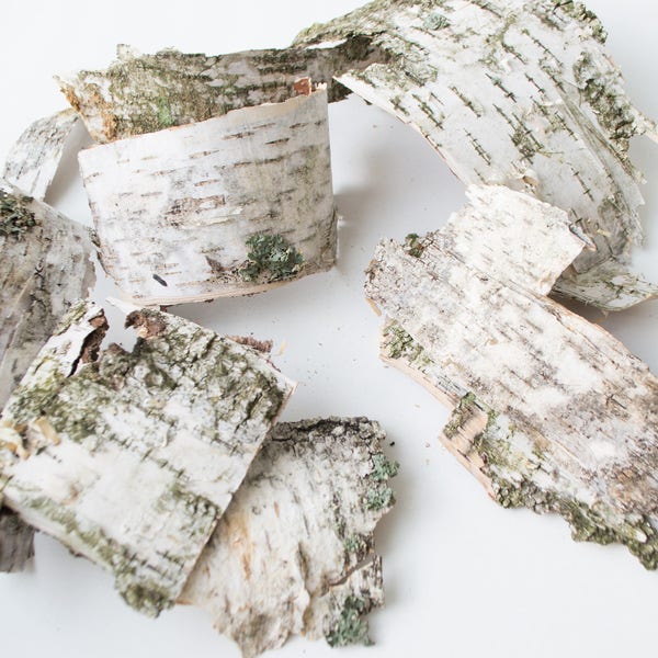 Birch Bark Paper - Etsy