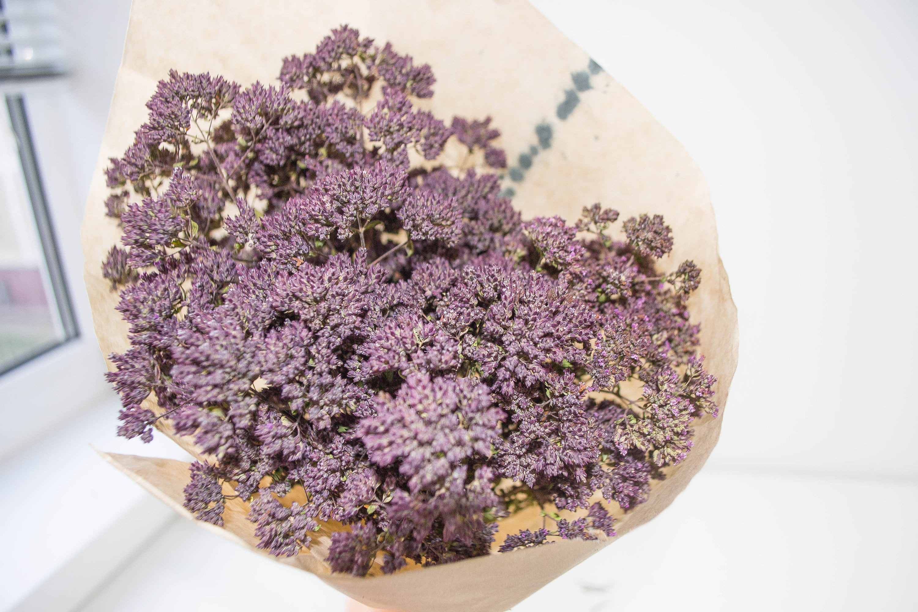 Oregano, Mother, Herbs, Meadow Plants, Home Decor, Aroma, - Etsy
