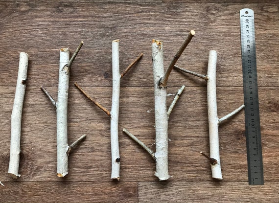 5 birch branches with knots / Birch pegs / Wood / White birch | Etsy