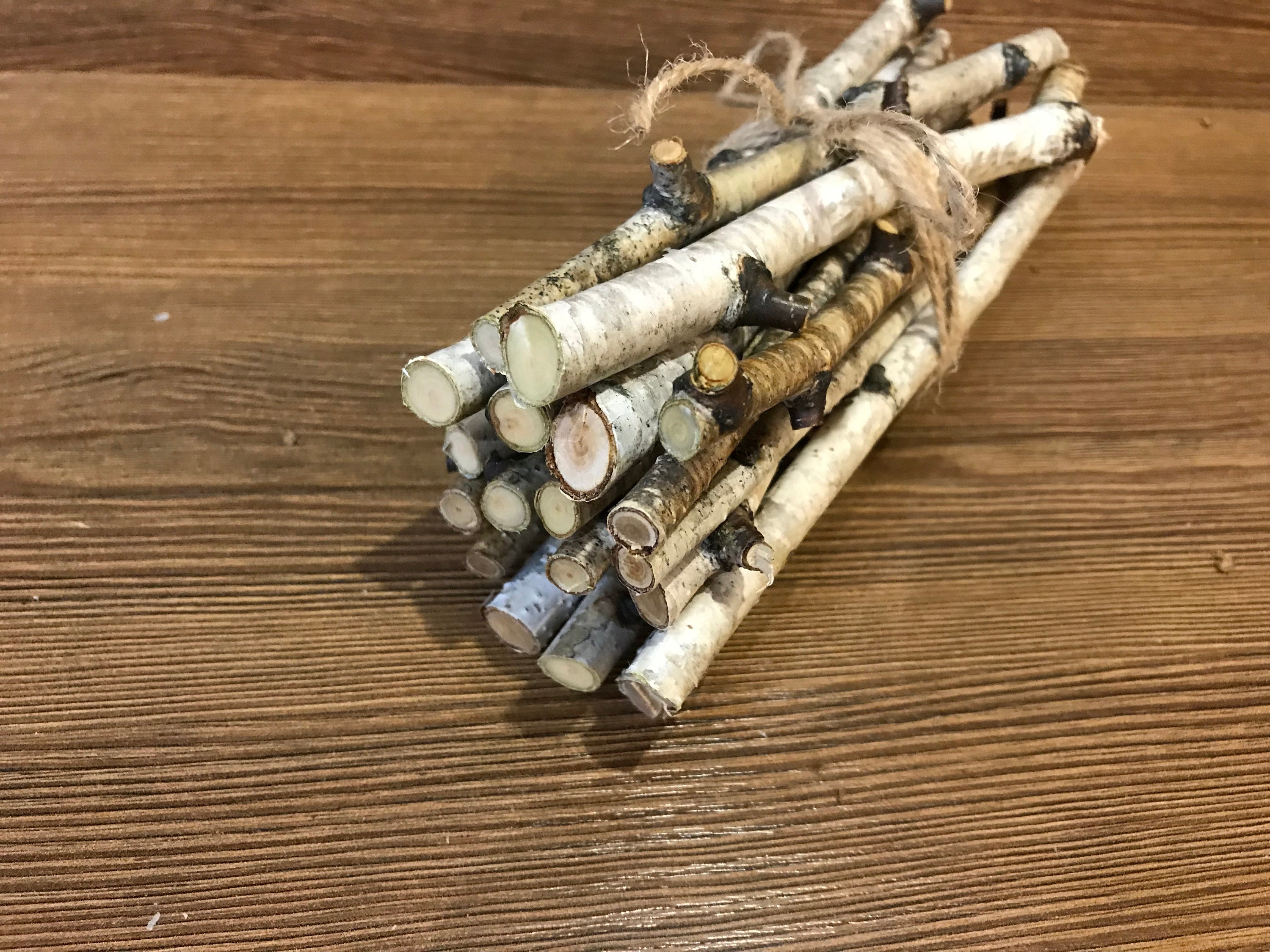 Set of Birch Branches White Natural Birch Sticks Natural - Etsy