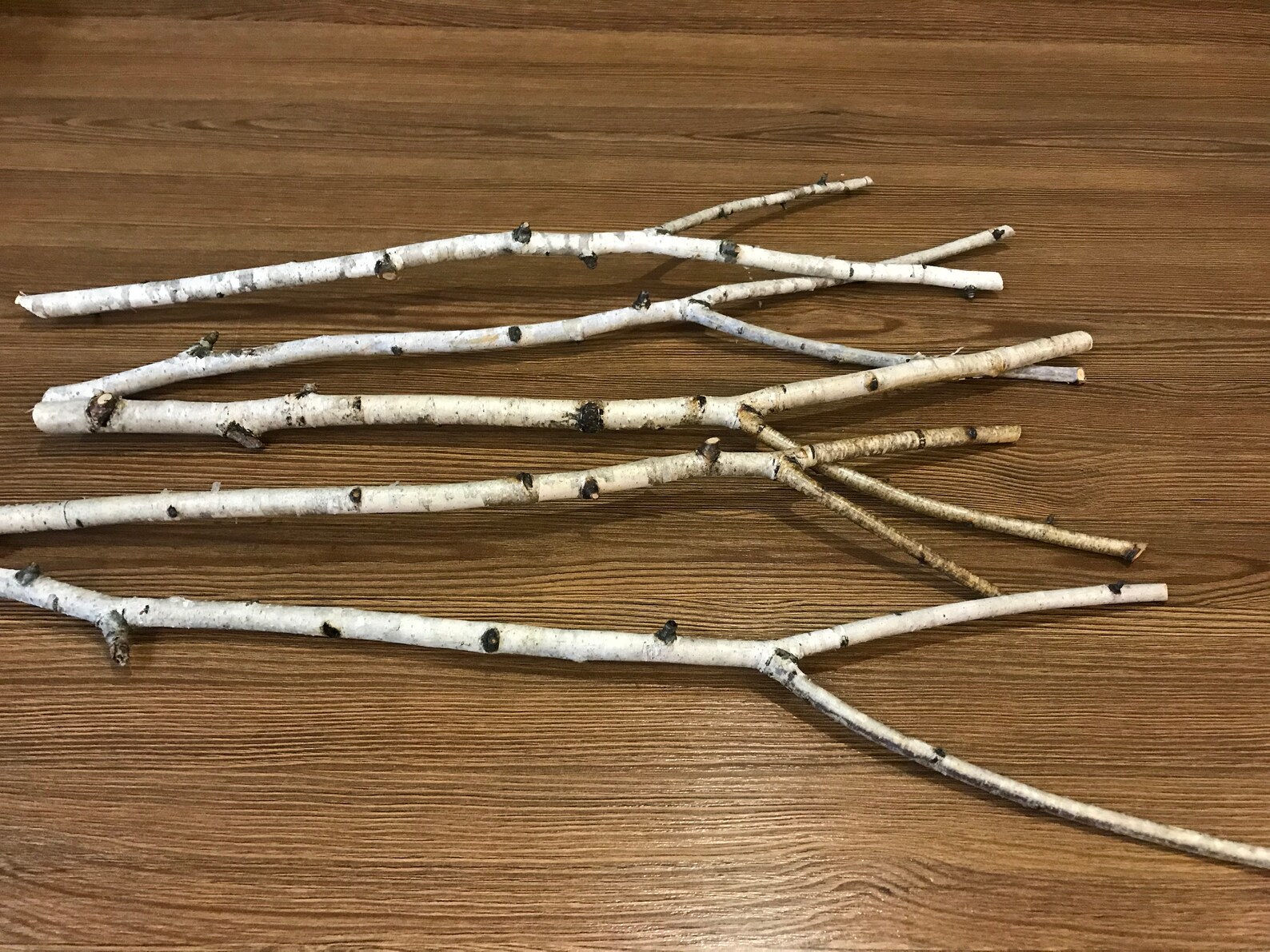 Set of 5 Birch Branches White Natural Birch Sticks Natural | Etsy