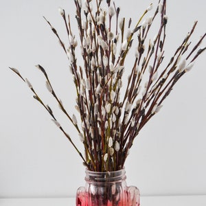 Pussy Willow Branches 30 Pcs, Natural Easter Decor, Fresh Cut Willow ...