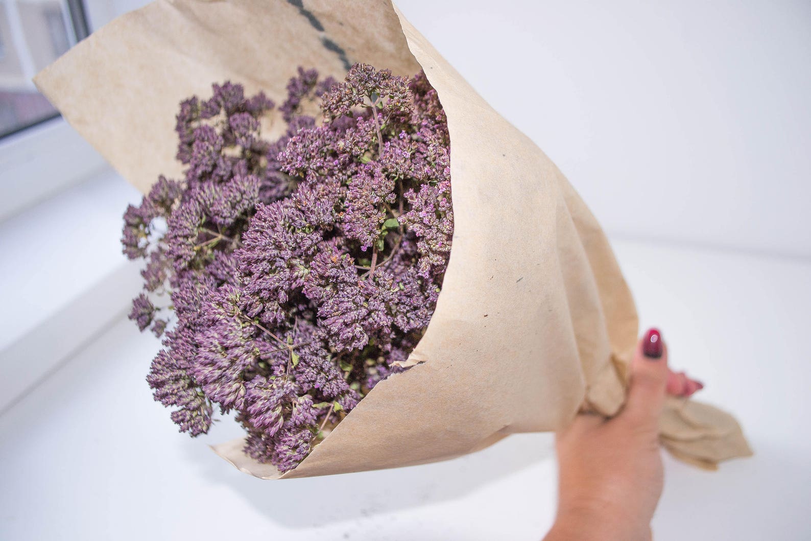 Oregano, Mother, Herbs, Meadow Plants, Home Decor, Aroma, - Etsy