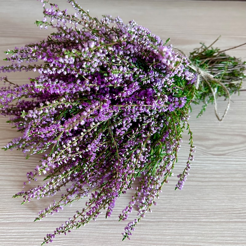 White Heather - Etsy