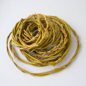 Rings of Willow Branches, Wreath, Natural Material - Etsy